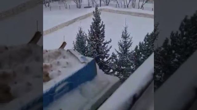 Белочка  завтракает на кондиционере в городе. 2023 год.