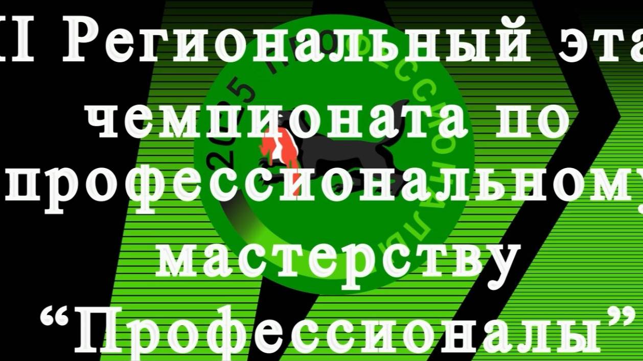Закрытие "Профессионалов" в Иркутской области