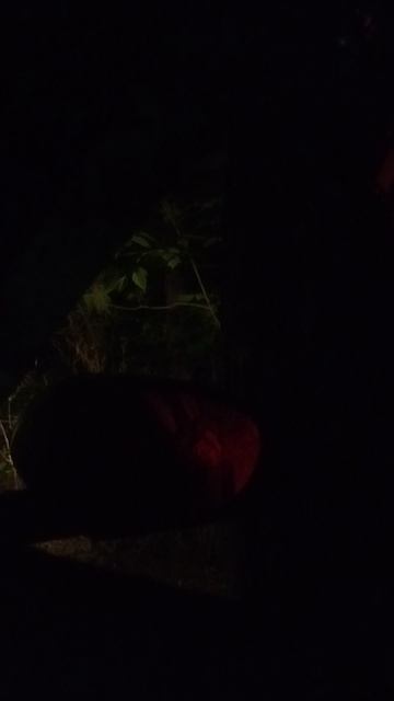 Добираемся до места стоянки