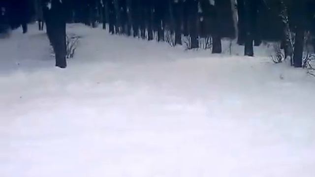 37-2016 Кто со мной на каток_