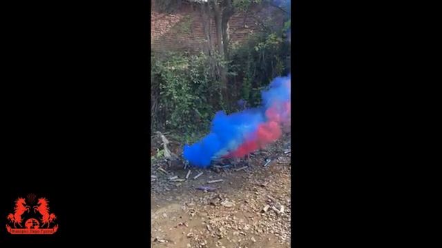 WPS-131 Цветной дым ТРИКОЛОР (белый/синий/красный)