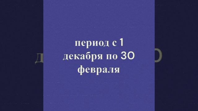 светлячки-видео урок водонаводская область