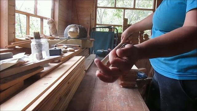 32-2017 Работа КИПИТ, МУСОР в лесу, ЗАЧЕМ я собираю МОХ_ _ Elena Pero