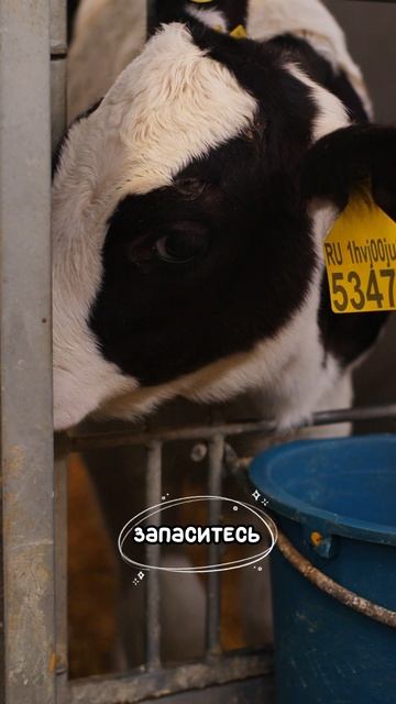 Пятница. Пусть вам будет чуточку хорошее!