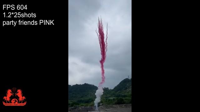 FPS604 цветной дым Party friends PINK