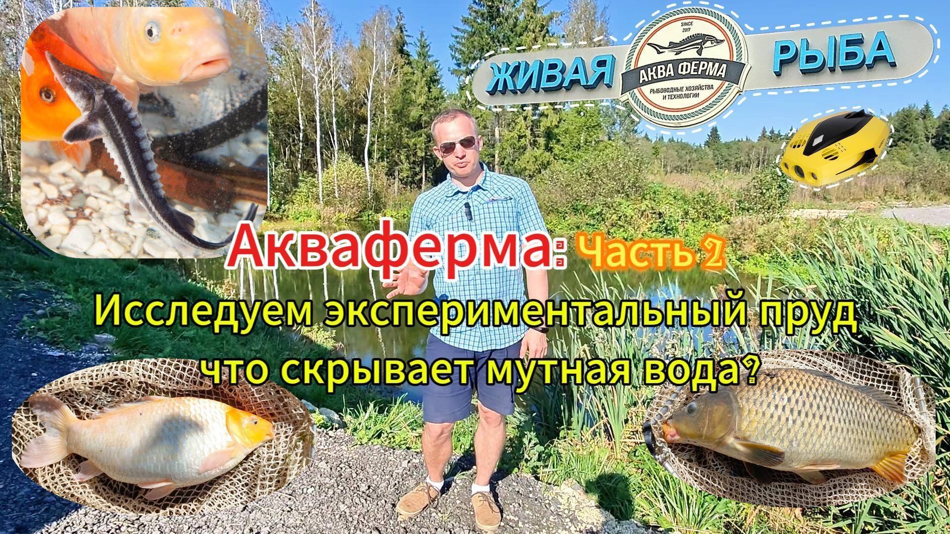 Акваферма:Часть2 Исследуем экспериментальный пруд, что скрывает мутная вода?