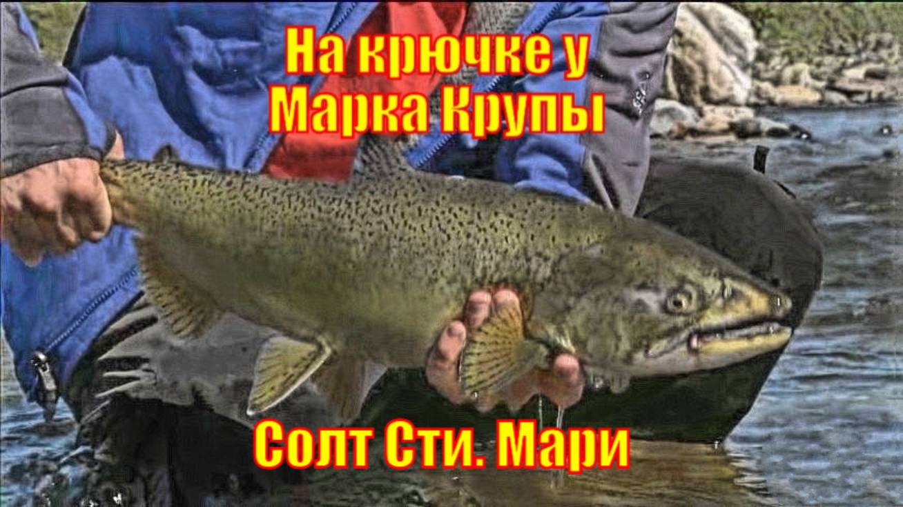 На крючке у Марка Крупы - Солт Сти. Мари