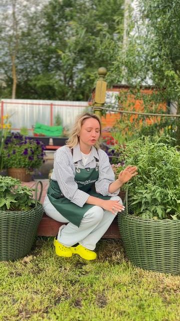 ОВОЩИ В КОНТЕЙНЕРНОМ ОГОРОДЕ: КАК ВЫРАСТИТЬ И СОБРАТЬ УРОЖАЙ?