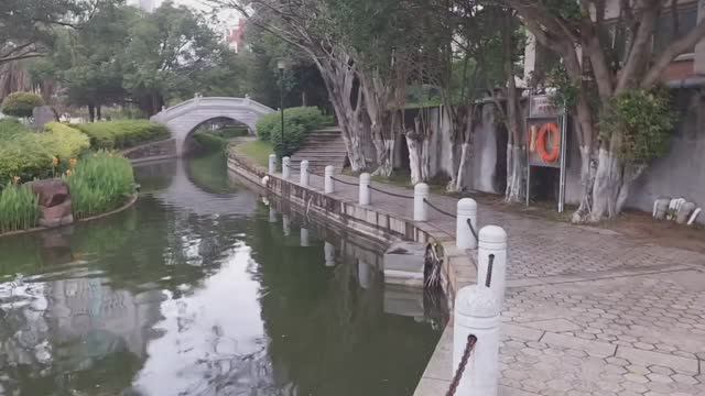 Китай изнутри и снаружи. Про китайских студентов: Технологии, любовь и... Конфуций.