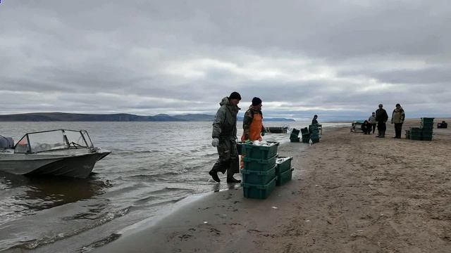 Зона Особого Внимания - Возрождение Арктики