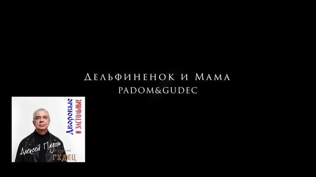 Дельфиненок. Акустическая версия