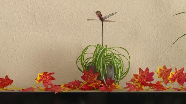 "Перекресток жизни". 11.09.25