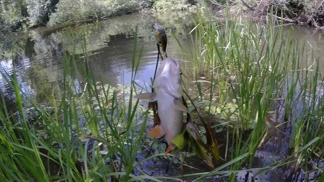 ВСПОМИНАЯ ЛЕТО!!! ОДНА из РЫБАЛОК на СПИННИНГ!!!