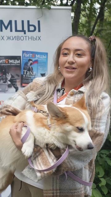 Настя и корги Лу: друзья и путешественники