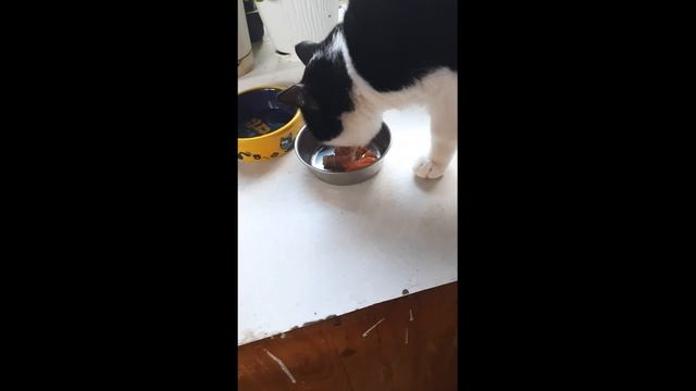 Рыбный четверг-IX-2025