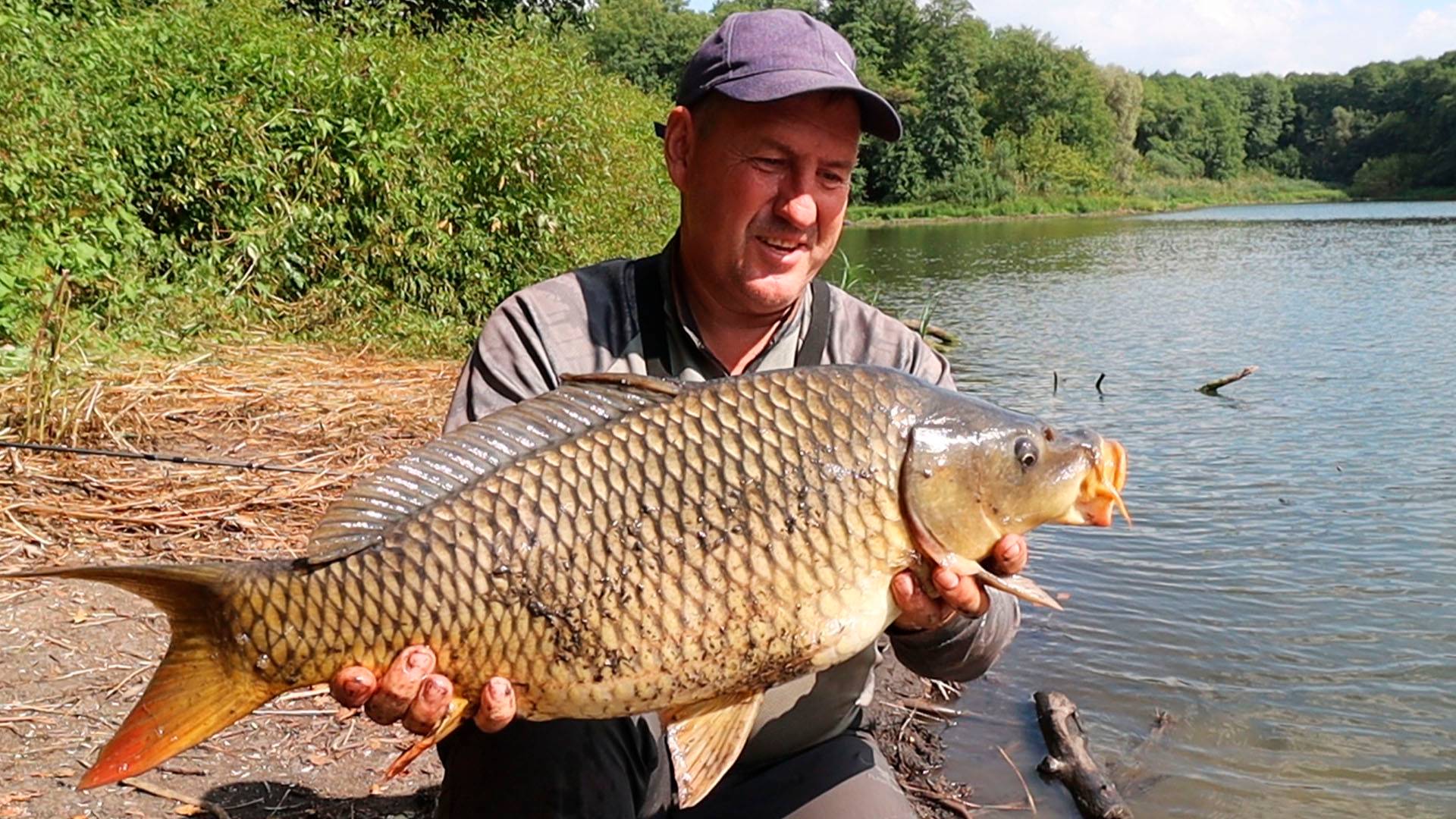 На Озере клюет сазан и щука. Рыбалка на дикаре!