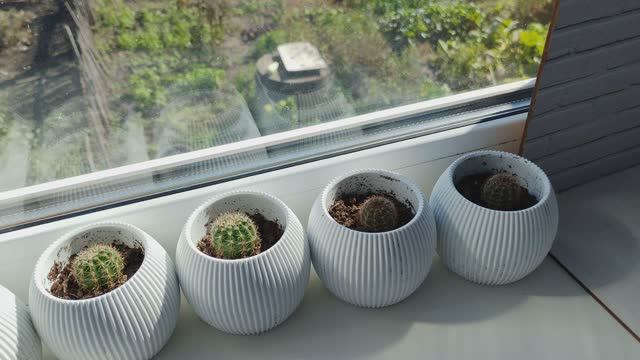 12-09-2025 уютное утро в деревне