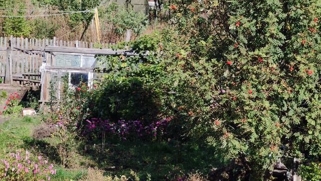 12-09-2025 осень в деревне, деревенская жизнь