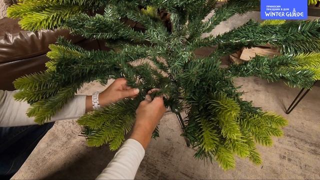Как правильно установить и расправить искусственную елку Winter Glade  Каролина