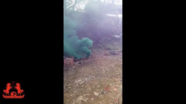 WPS-122 Цветной дым ДУПЛЕТ (двусторонний) зеленый с чекой