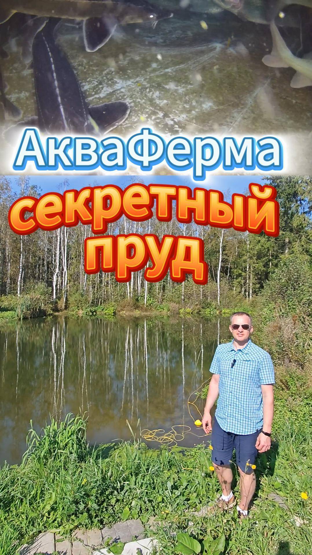 Акваферма секретный пруд