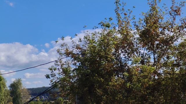 12-09-2025 пушистые облака над деревней