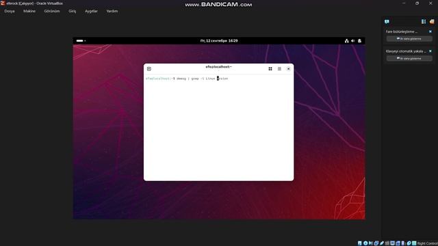 Лабораторная работа №1