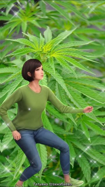 Мы выбираем сами ...