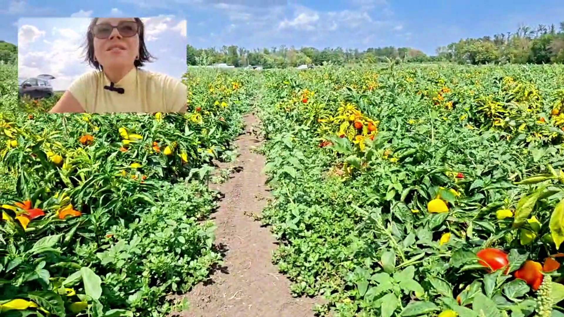 Дневник Агронома №40 часть 2