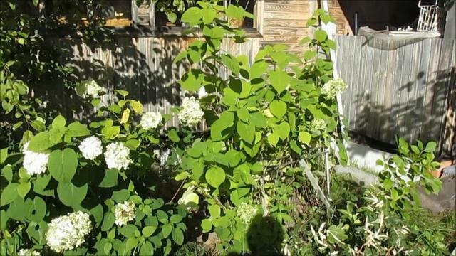 35-2017 Готовимся к зиме. Что нового_ _ Elena Pero