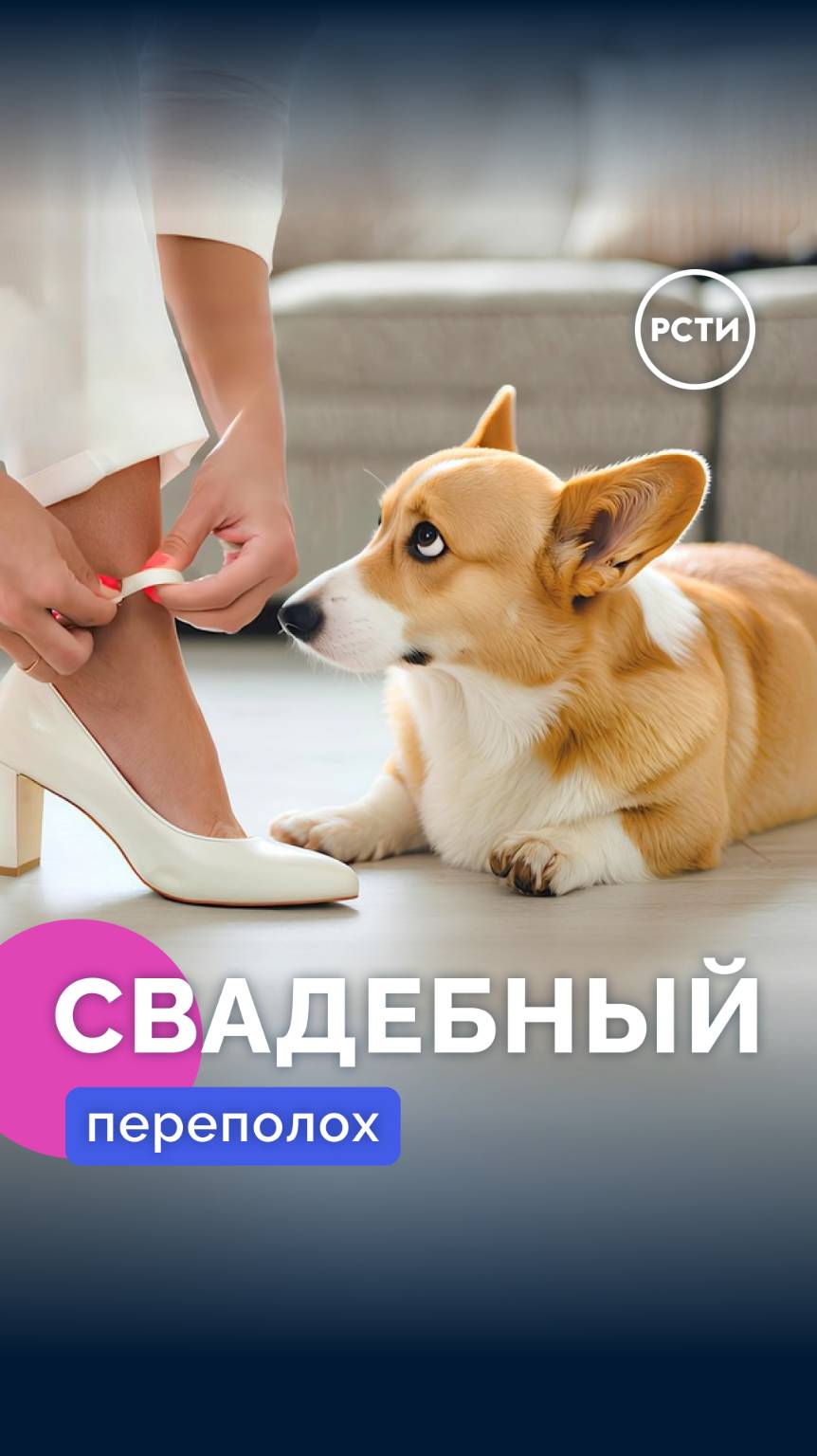 Эпизод 25. Свадьба