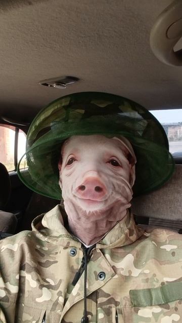 заработок на комаринных хоботках