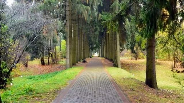 Мы гуляли с тобой Светлана Беликина сл Сергей Гинзбург гарм Анатолий Чижов Скопин Авт вид НРудакова