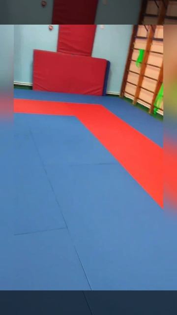 Долгожданный Татами