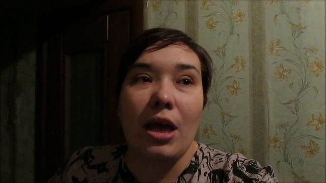 43-2017 КУДА Я ОПЯТЬ ПРОПАЛА_ Влогов больше не будет_ _ Elena Pero