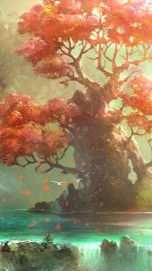 Встретиться со своим  отражением.