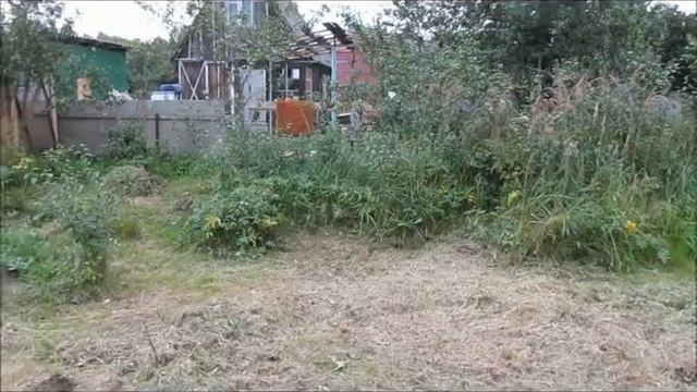 31-2017 Что новенького_ _ Elena Pero