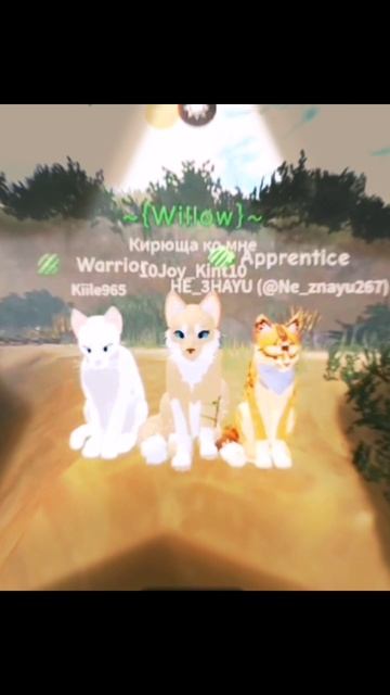 Колабб с Петей(Ne_znayu268) и Кириллом(Kiile986)