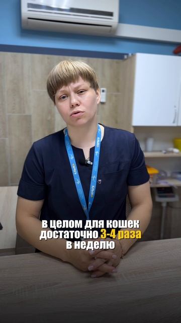 Нужно ли собакам и кошкам чистить зубы ежедневно?