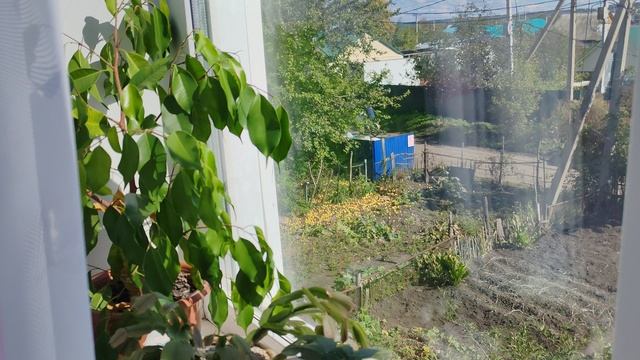 12-09-2025 уют в деревне, деревенские будни