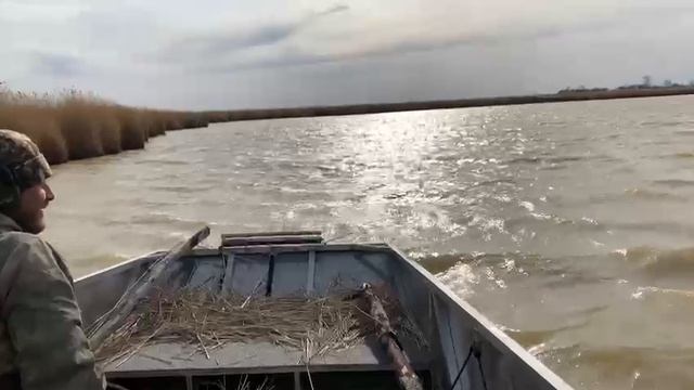 Аэролодка Нерпа 341Б Некст Люкс видео покупателя. Новосибирская область