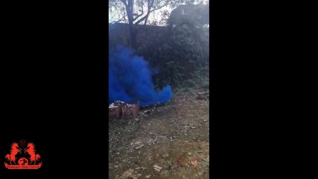 WPS-123 Цветной дым ДУПЛЕТ (двусторонний) синий с чекой