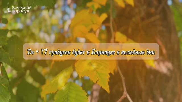 До + 17 градусов будет в Барнауле в выходные дни