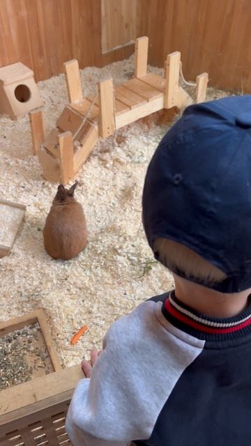 🐷 И снова носимся на ферме