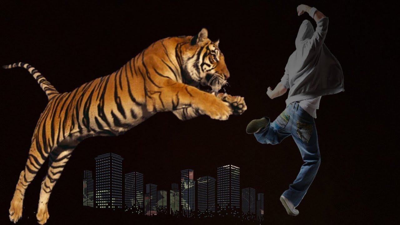 Бенгал в городе