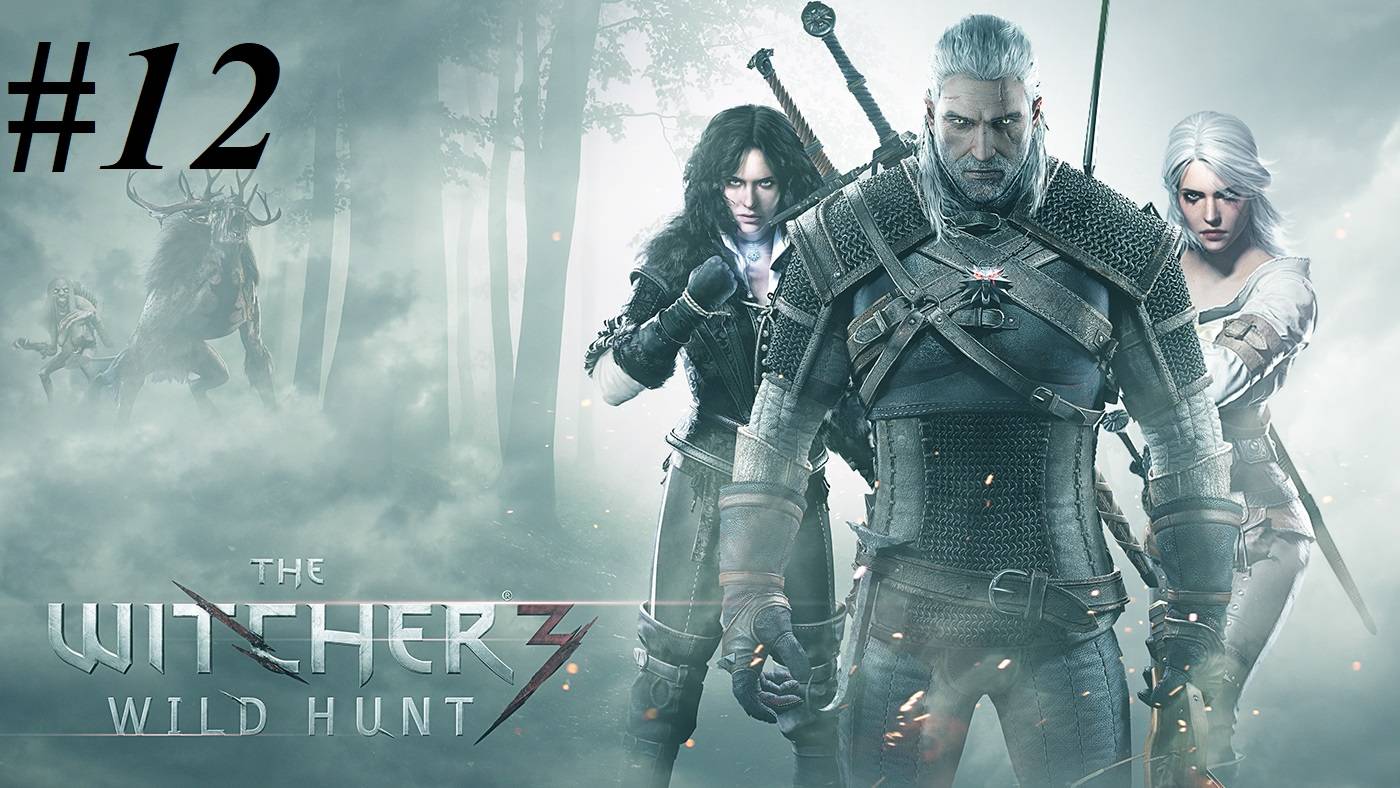 Прохождение Ведьмак 3: Дикая охота вместе с дочкой, видео №12 - Дружеская услуга