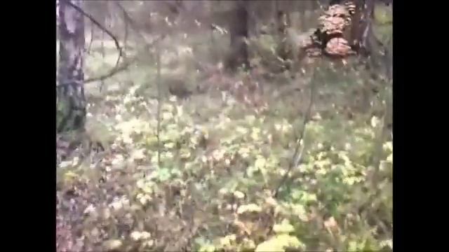 27-2016 РАДУГА, не могу говорить, ОПЯТА, уборка сада, Алиска!