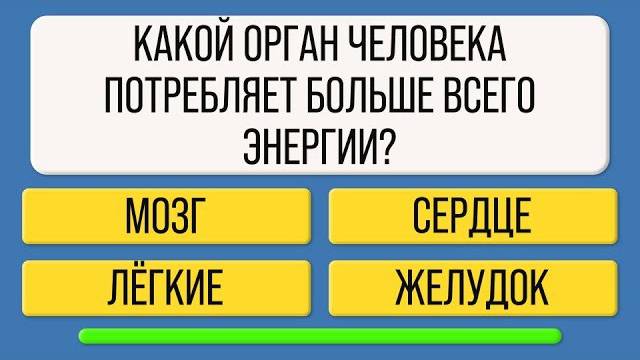 Только самые эрудированные смогут пройти этот тест!