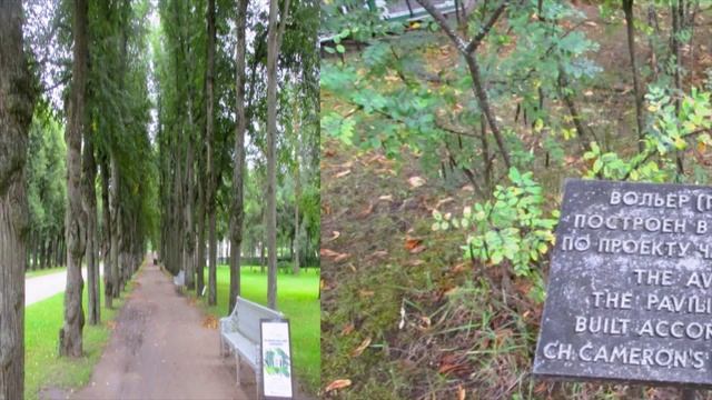 Старый парк