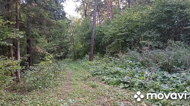 Водопад в Ершово, трасса Зубец